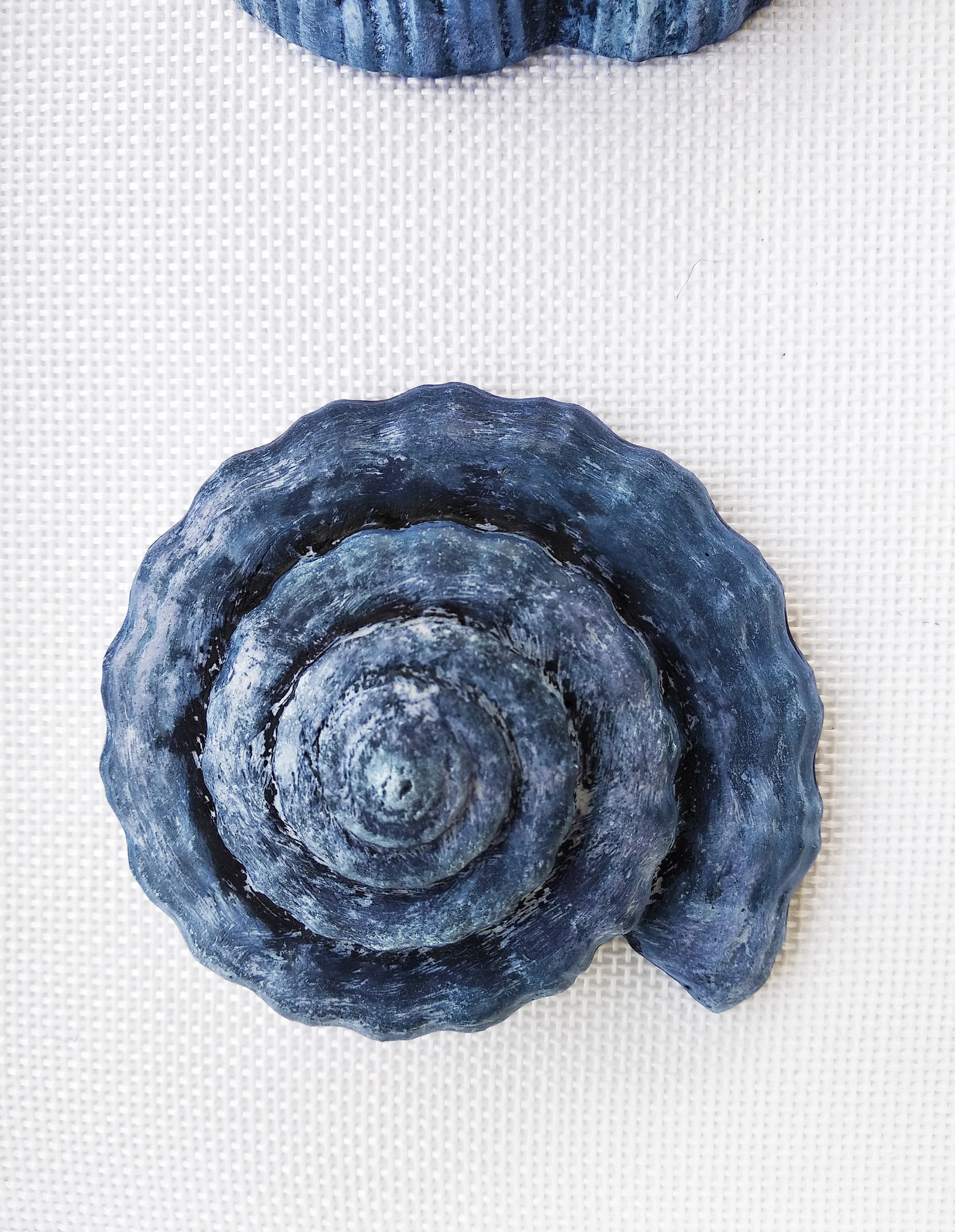 3d seashell beach wall art plaster ammonite sculpture set of | Etsy