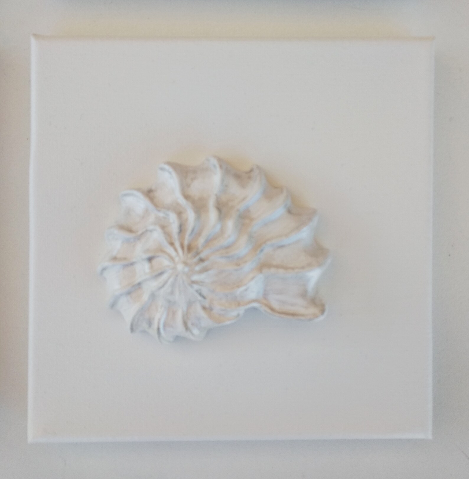 White Sea Shell Canvas Wall Art Set of 4 Coastal Seashells - Etsy