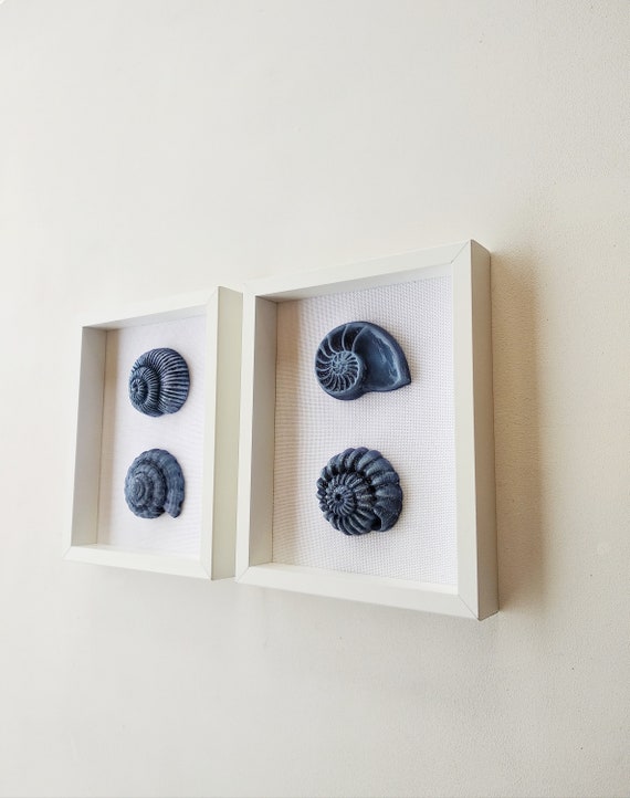 3d Seashell Beach Wall Art Plaster Ammonite Sculpture Set of | Etsy