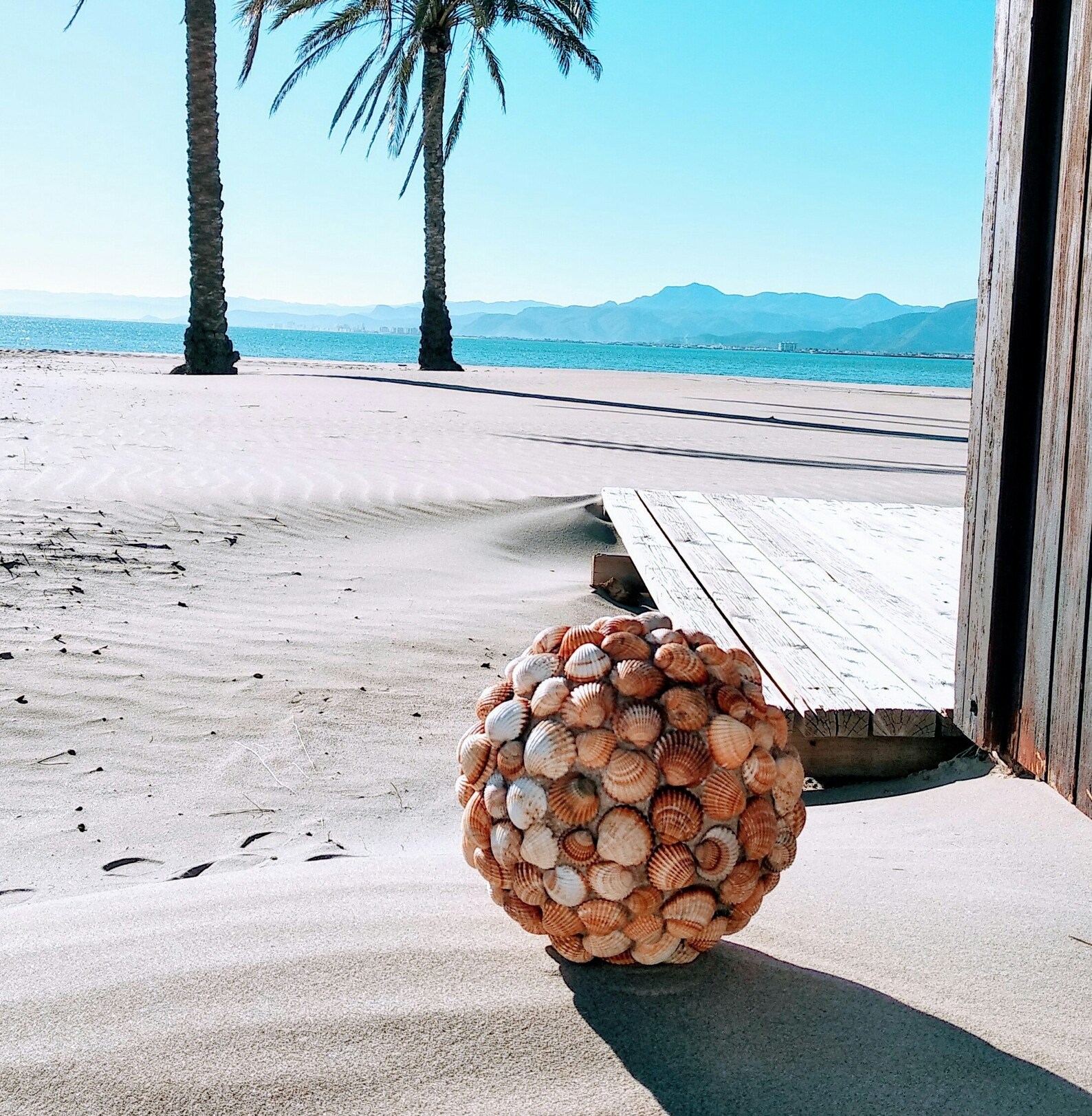 Large Sea Shell Ball Nautical Seashell Sphere Coastal Home - Etsy