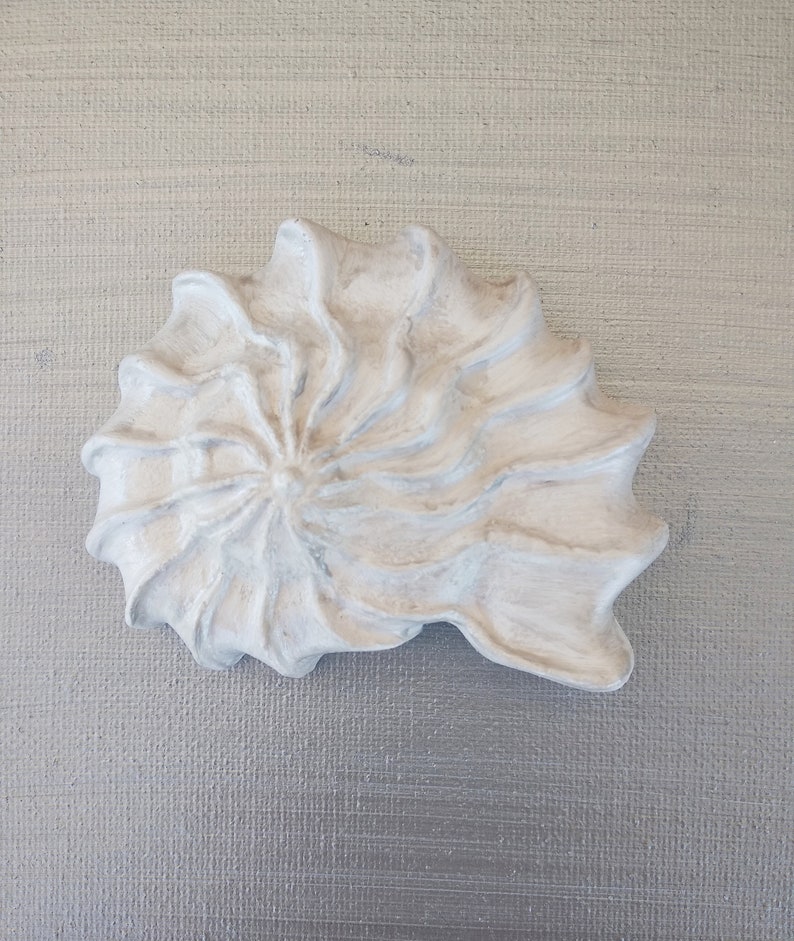 Small Shell Paintings on Canvas Original Plaster Wall Art - Etsy