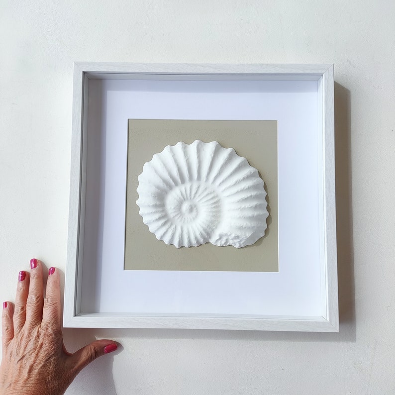 3d Ammonite Plaster Art, Relief Nautilus Painting, Sea Conch Decorative ...