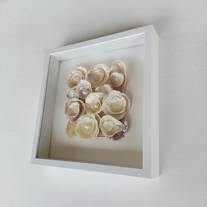 Framed Shell Art - Etsy
