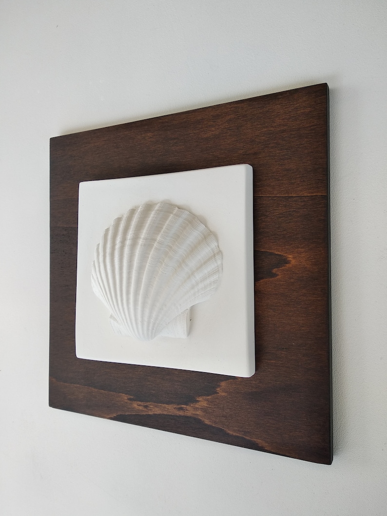3d Plaster Wall Art Plaster Wall Sculpture Relief Sea Shell | Etsy