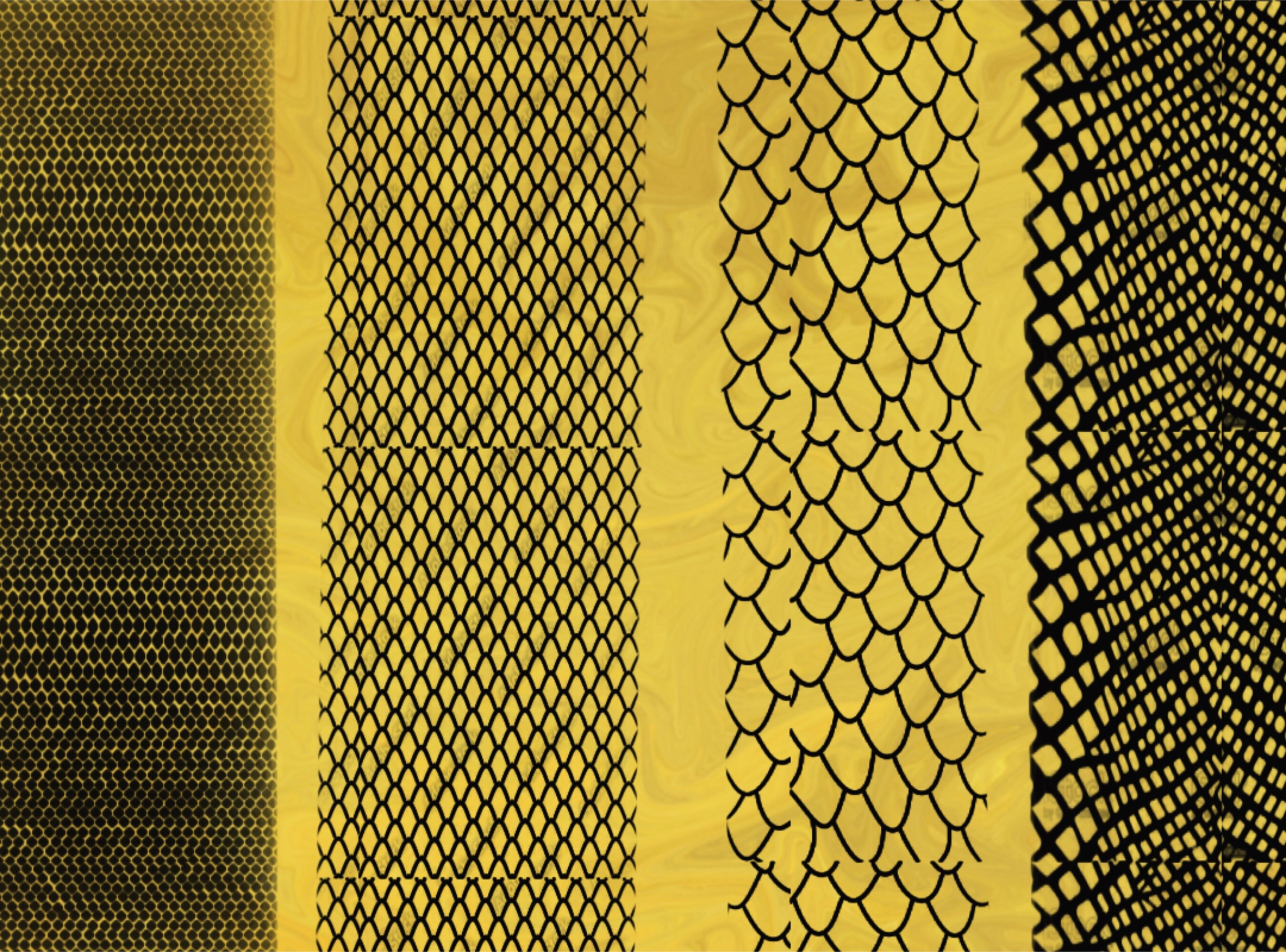 Snakes & Nature Stamps for Procreate - Etsy