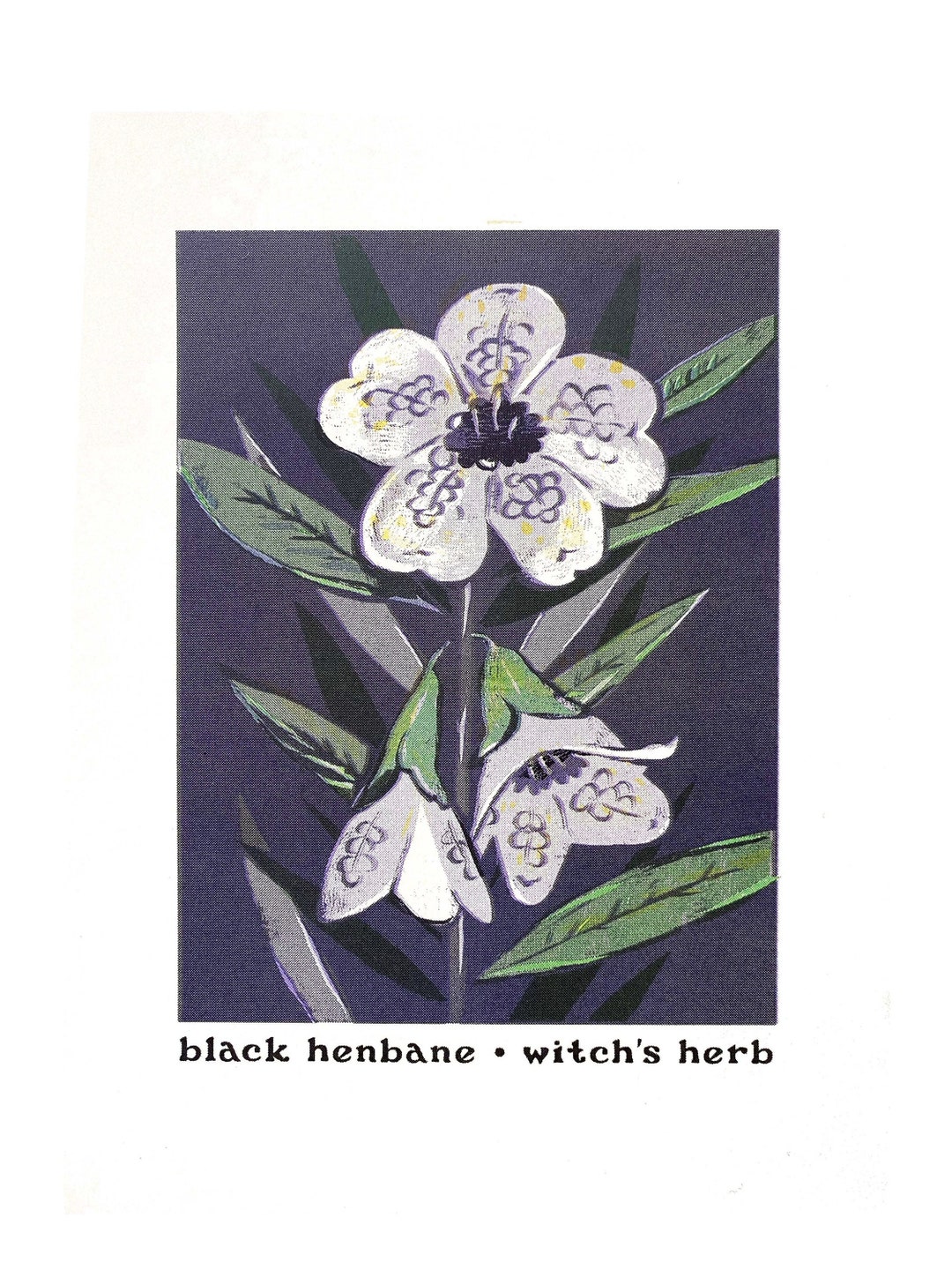 Black Henbane Witch's Herb Original Risograph Print - Etsy