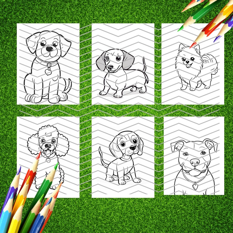 Dog Breeds Coloring Pages, Quick and Easy Printable PDF Activity for ...