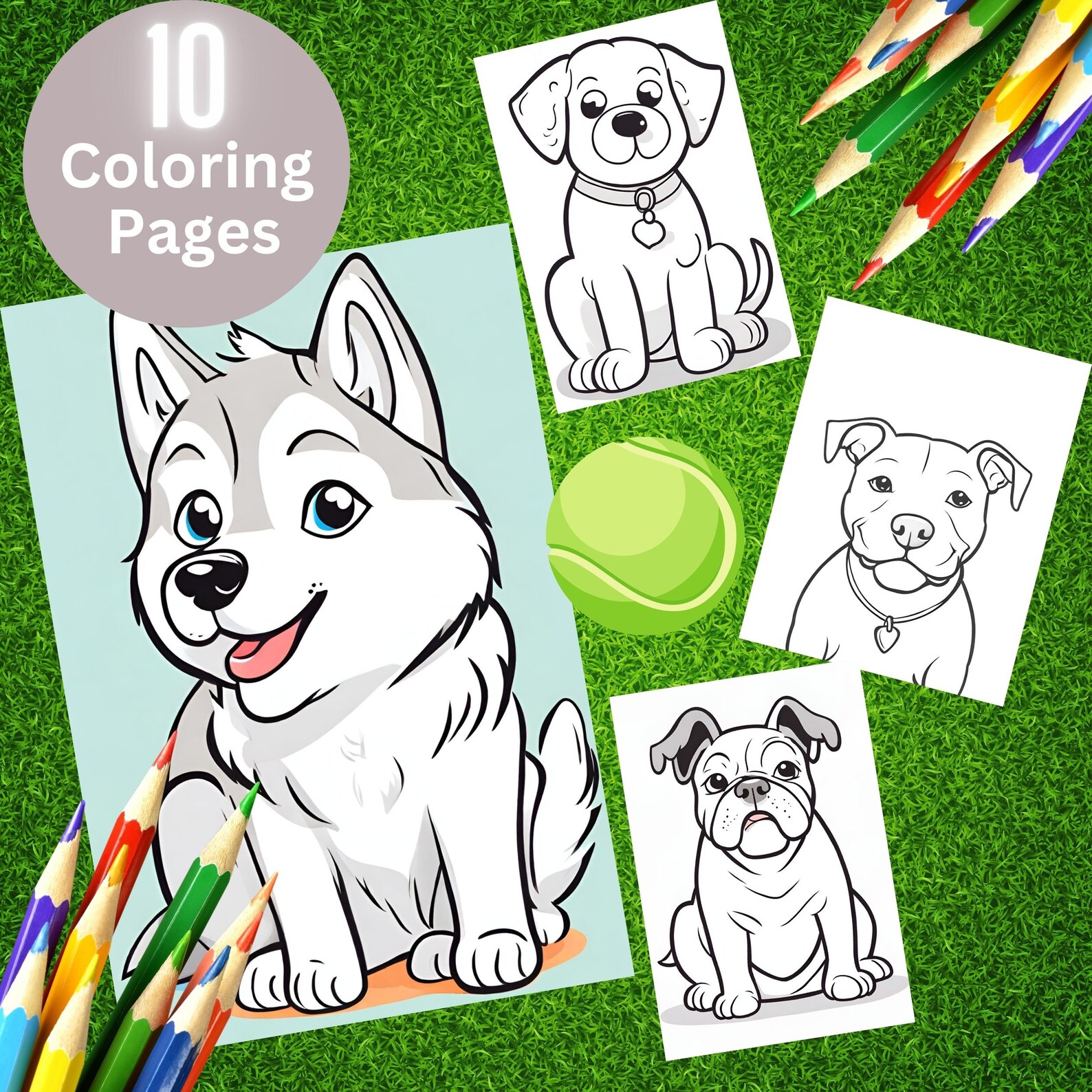 Dog Breeds Coloring Pages, Quick and Easy Printable PDF Activity for ...