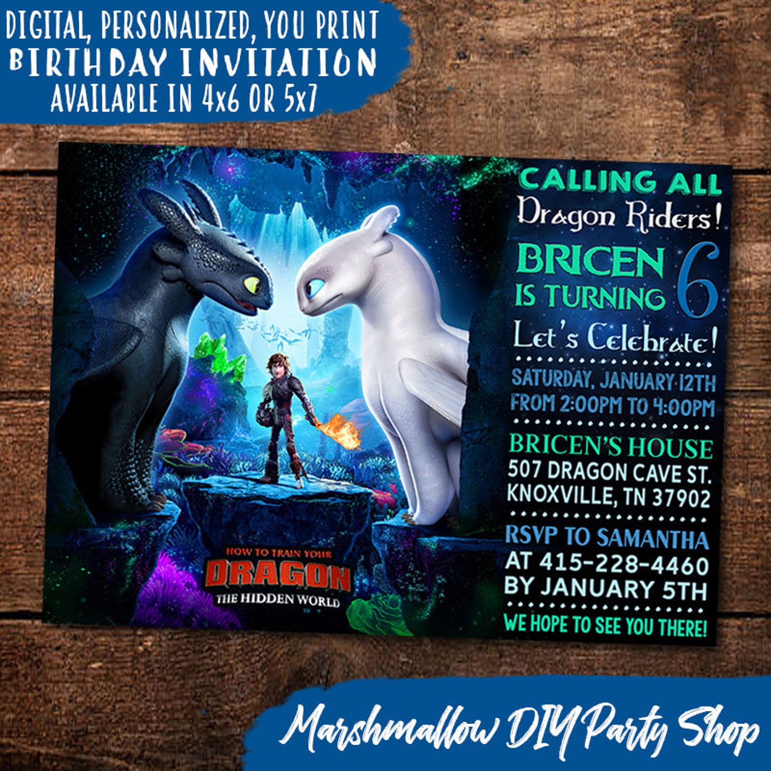 How to Train Your Dragon Birthday Invitation Digital-print | Etsy