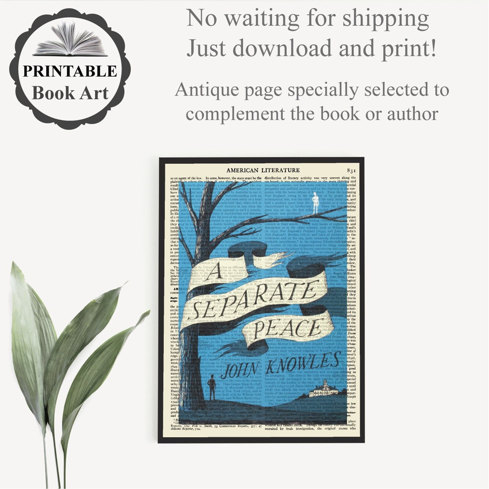 Printable 'A Separate Peace' Book Cover Print on Old - Etsy