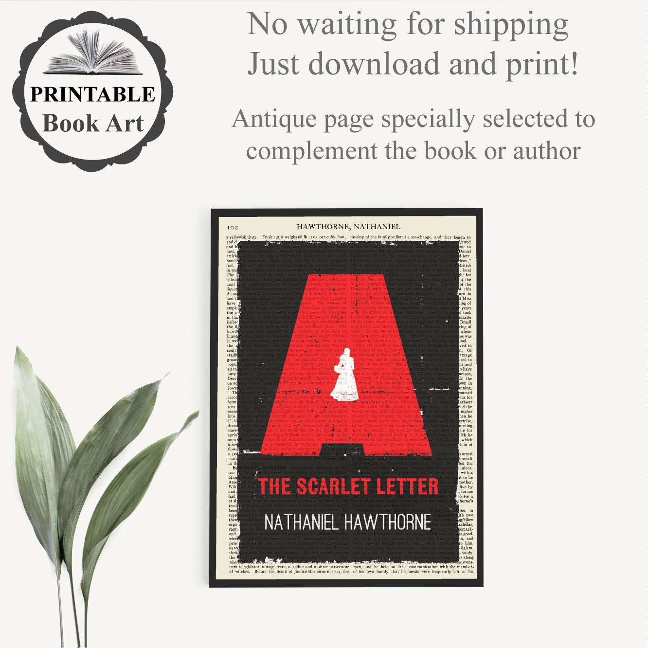 Printable The Scarlet Letter Poster Book Lover Gift Book | Etsy