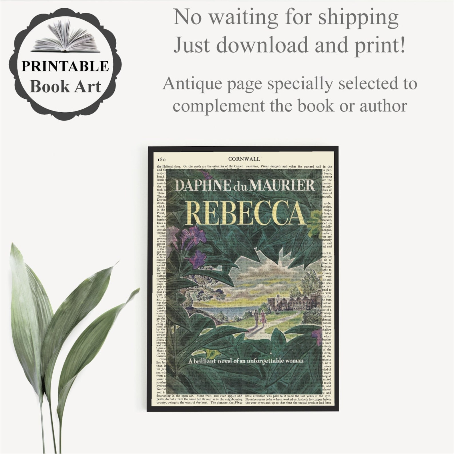 Downloadable 'rebecca' Book Cover Art Print on an Old 1911 ...