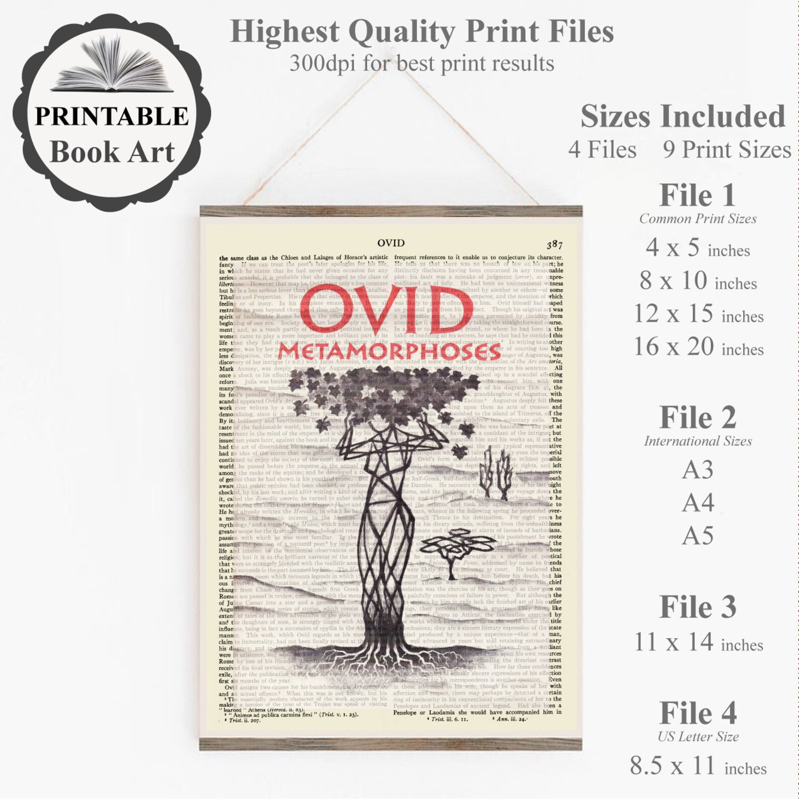 Printable 'metamorphoses' Art Print Ovid Book Cover - Etsy