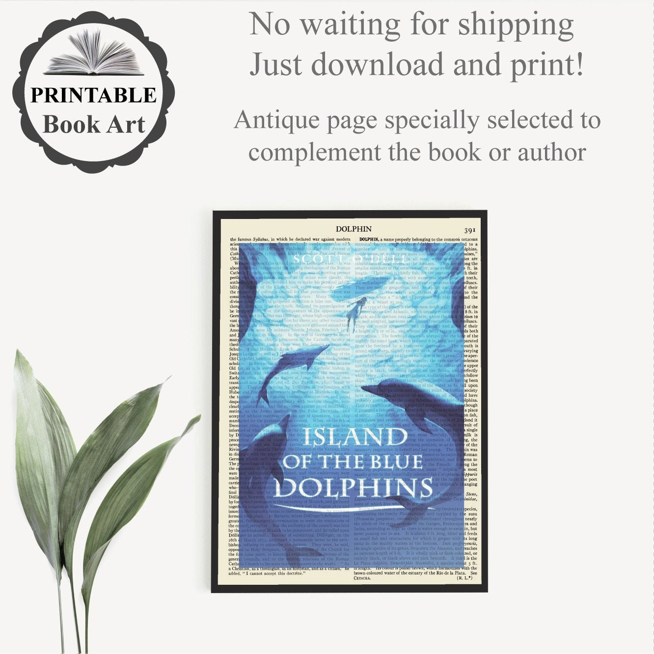 Fichas De Trabajo Sobre La Isla De Los Delfines Azules