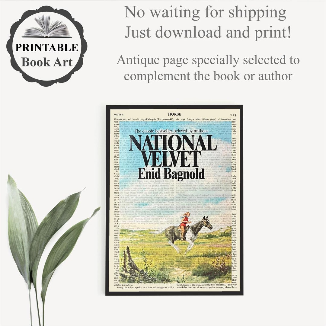 Printable 'national Velvet' Book Cover Art on Vintage Page, Horse ...