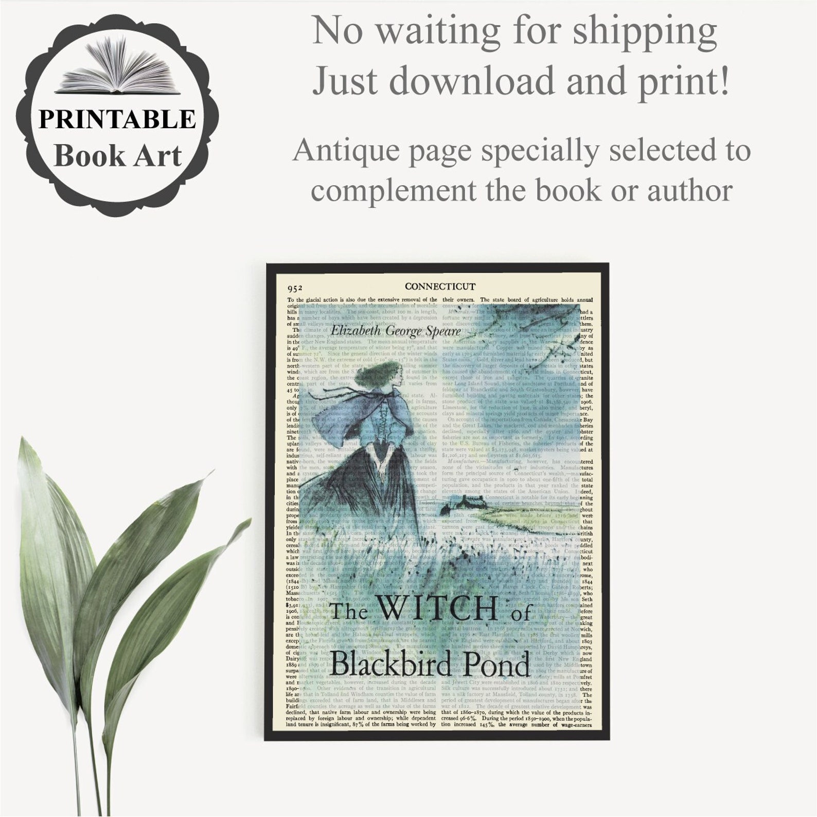 Printable 'the Witch of Blackbird Pond' Book Cover Poster Print ...