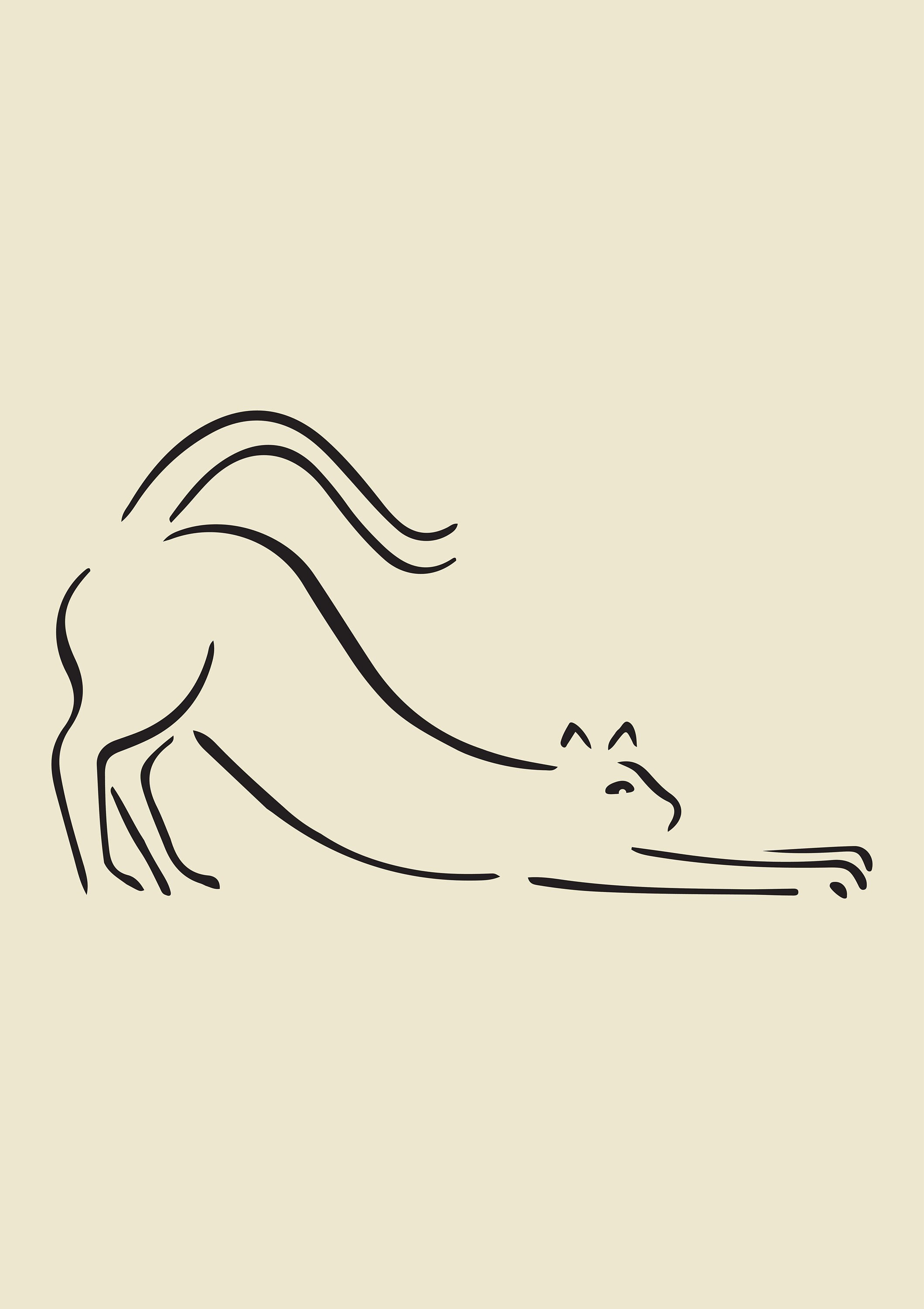 Pablo Picasso cat poster One Line Drawing Exhibition Poster | Etsy