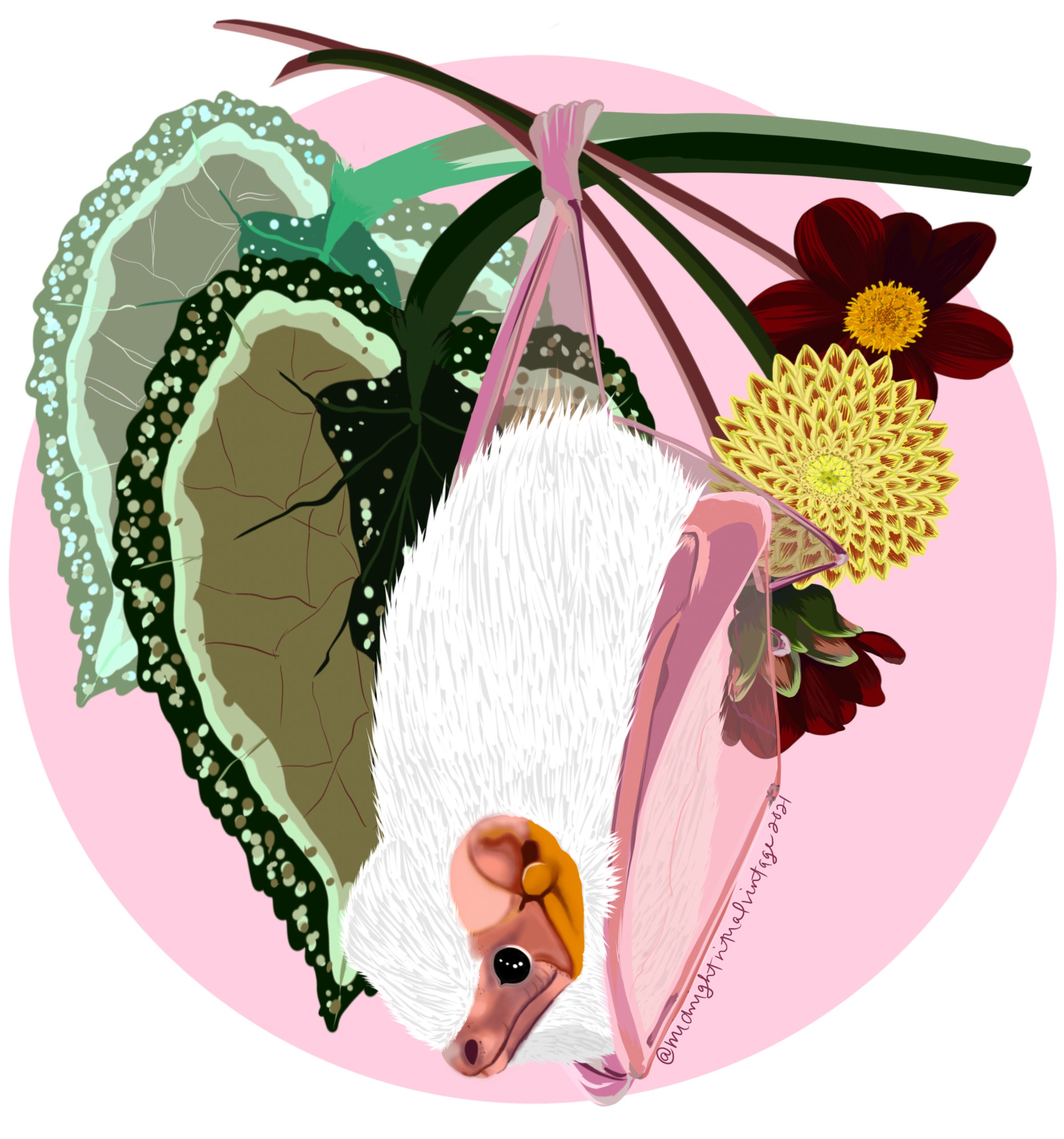 Ghost Bat Art Print - Etsy