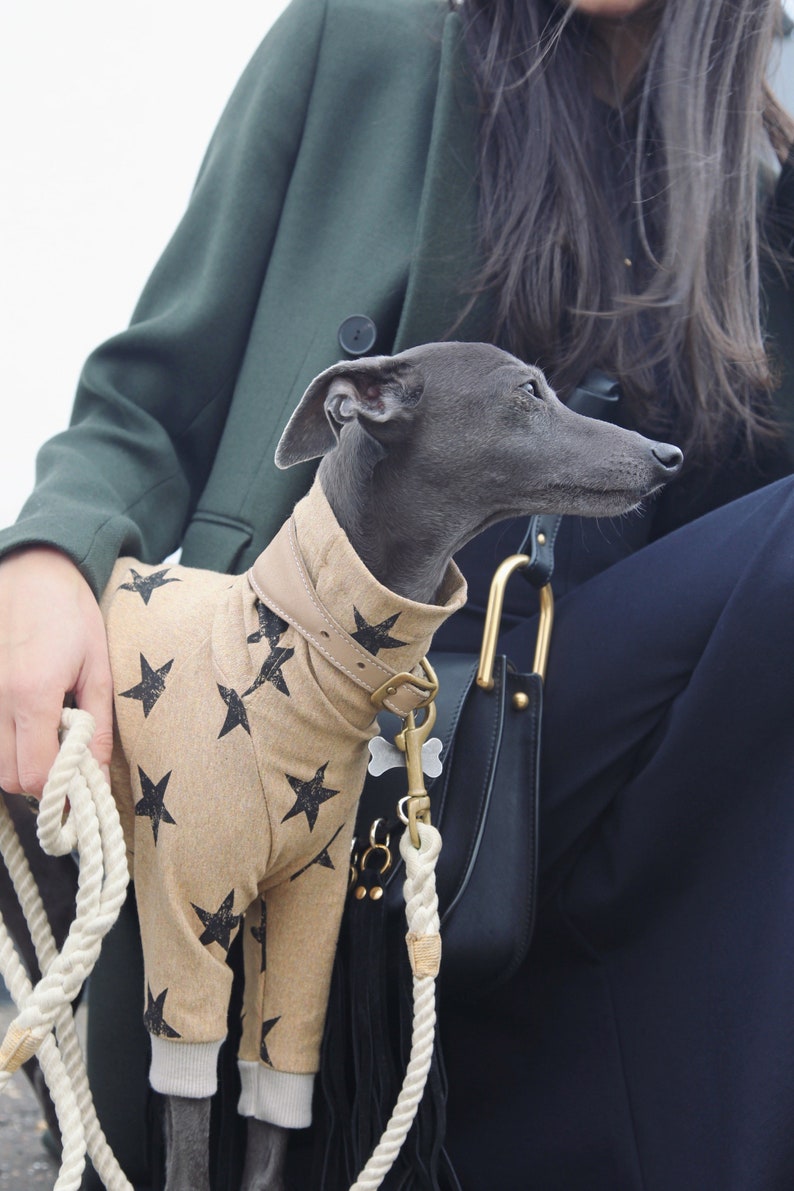 Beautiful Handmade Cotton Rope Dog Lead JUTE - Etsy UK
