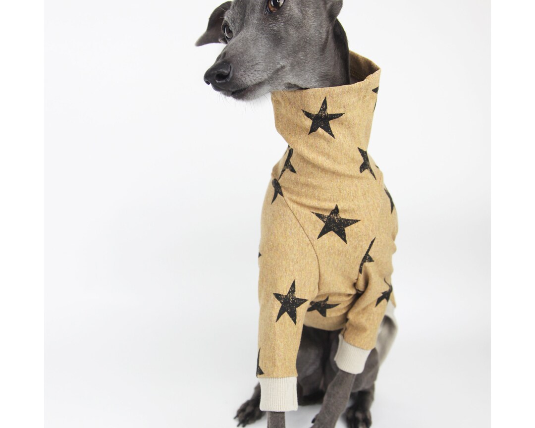 Star Print Italian Greyhound Clothing, Cotton Lightweight Summer ...
