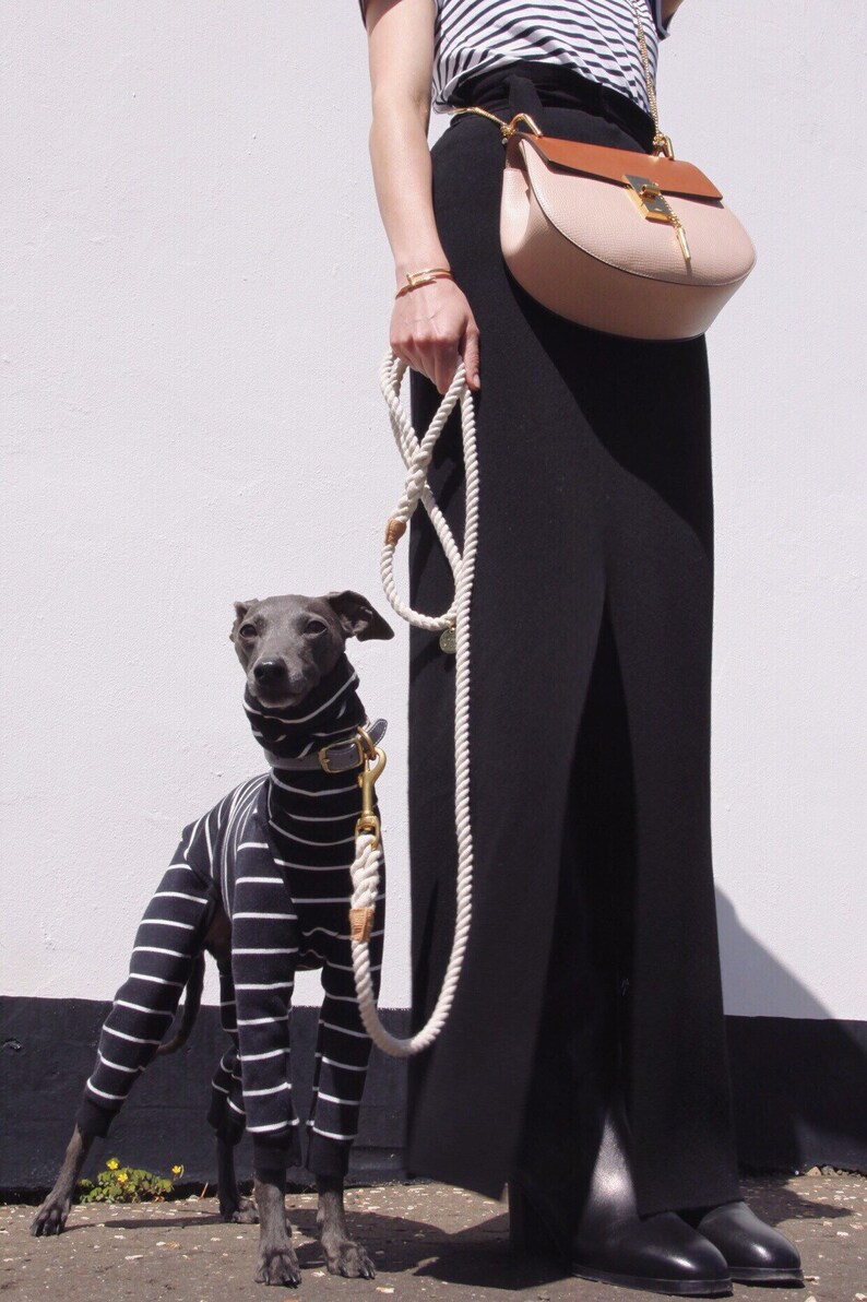 Beautiful Handmade Cotton Rope Dog Lead JUTE - Etsy UK
