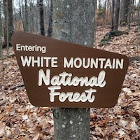 White Mountains National Forest Entrance Sign - Etsy
