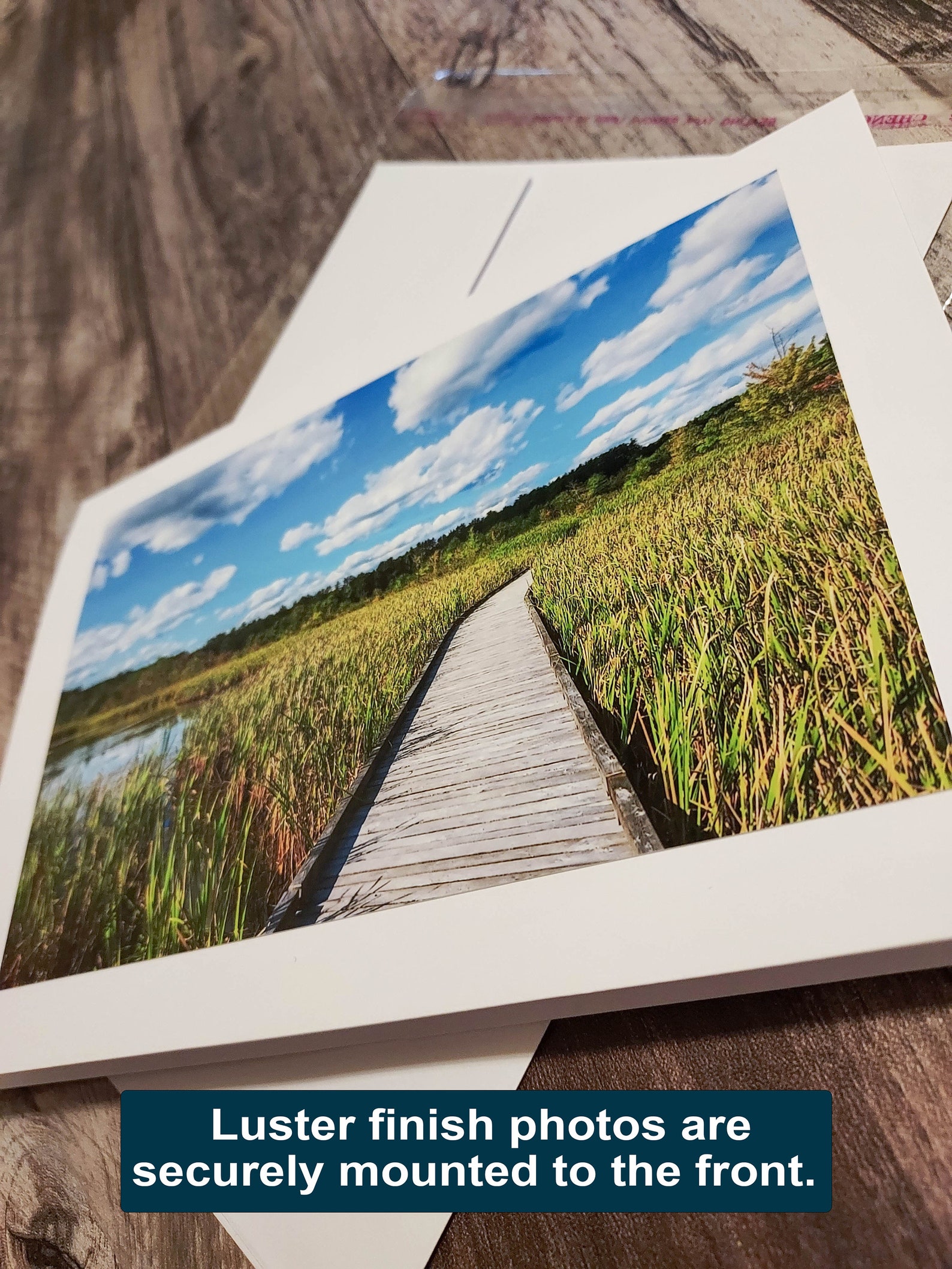 Flower Photo Note Cards Greeting Card Photo Card Photo - Etsy