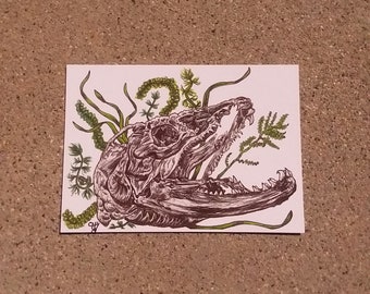 Grasslands Ecosystem Postcard Print | Etsy