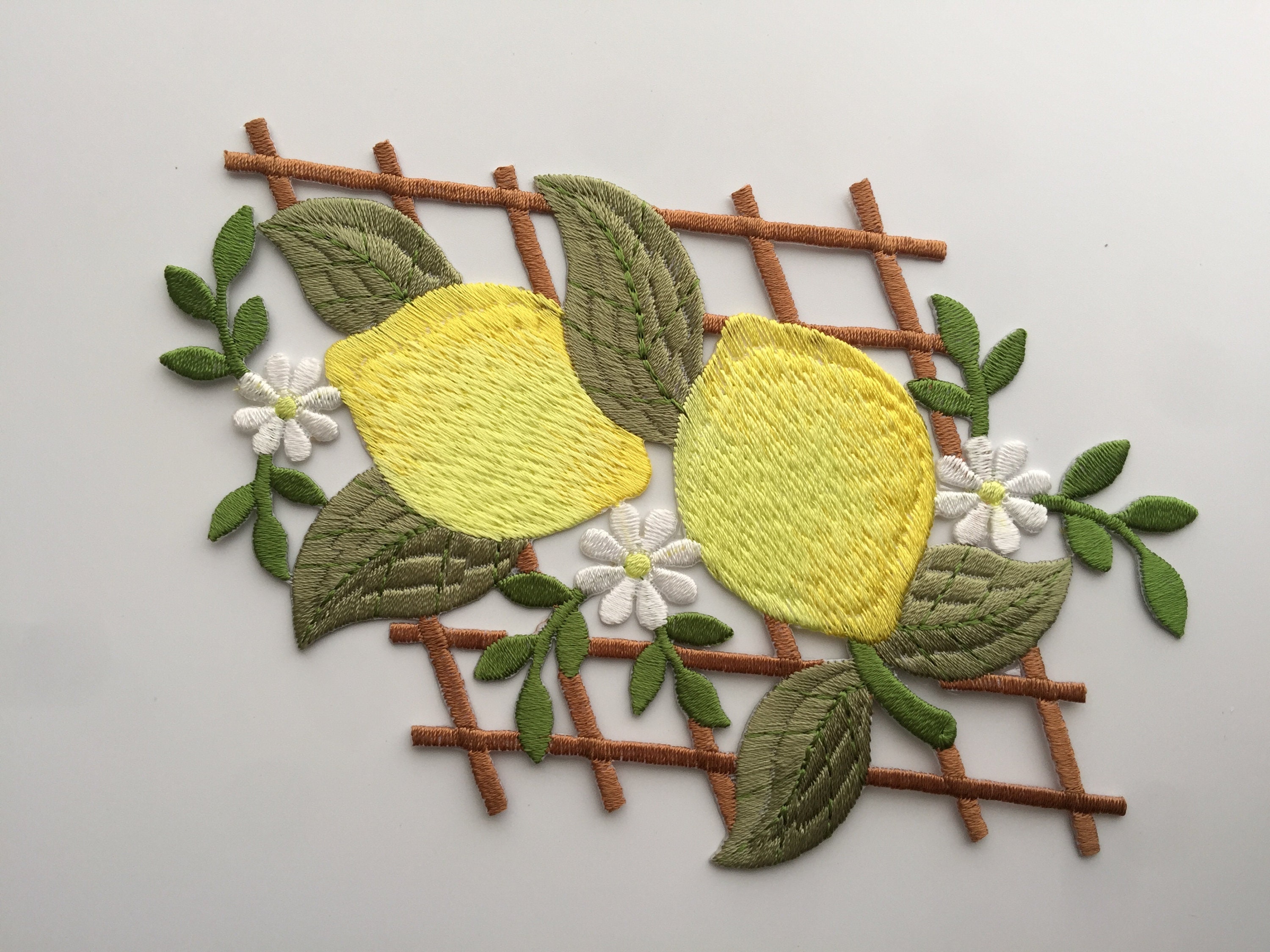 Lemon Embroidered Patch: Iron On/sew on Appliqué (9.5cm X 11.5cm) - Etsy