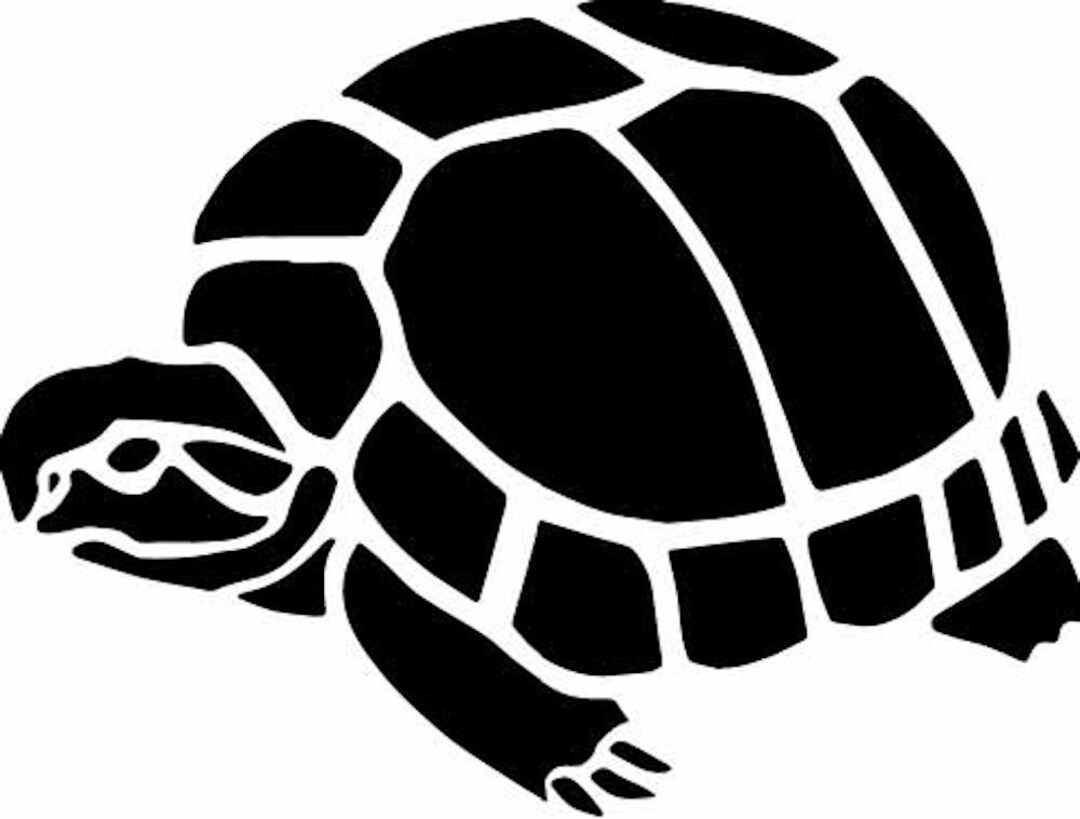 Box Turtle Stencil Turtles Nautical Wall Painting Stencils - Etsy