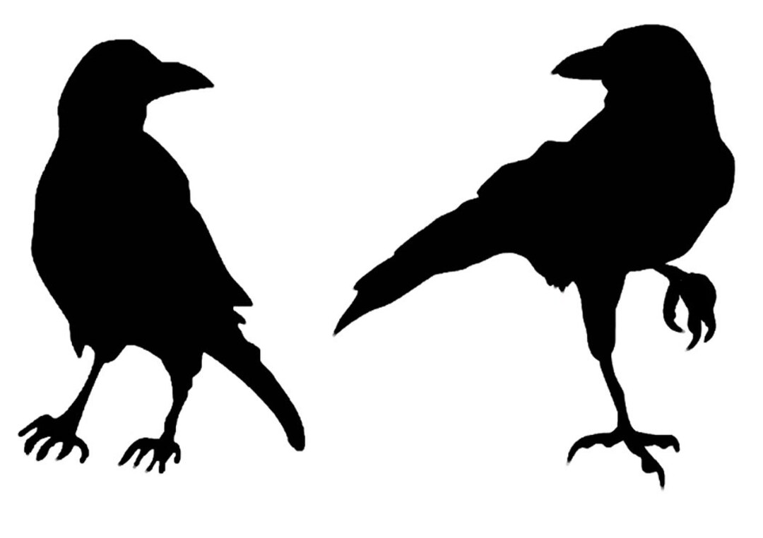 Crow Set Stencil Crows Bird Birds Stencils - Etsy