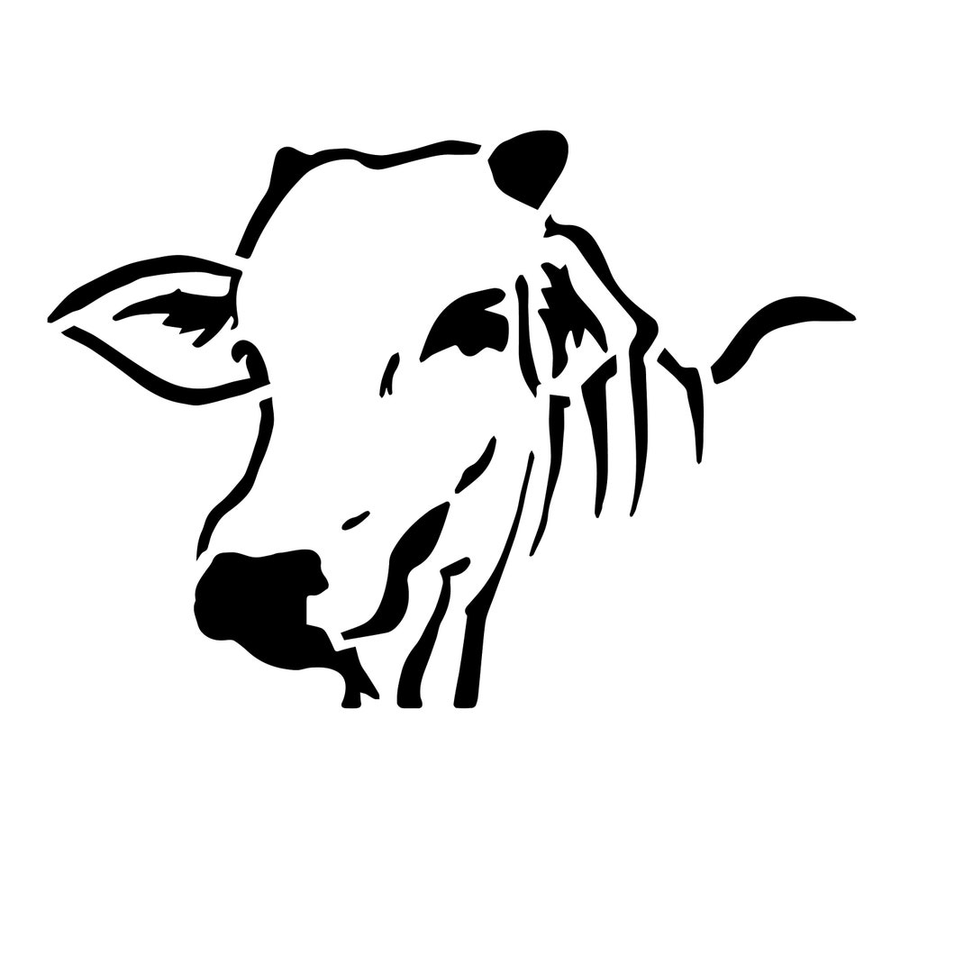 Cow Head Stencil Cows Farm Stencils - Etsy
