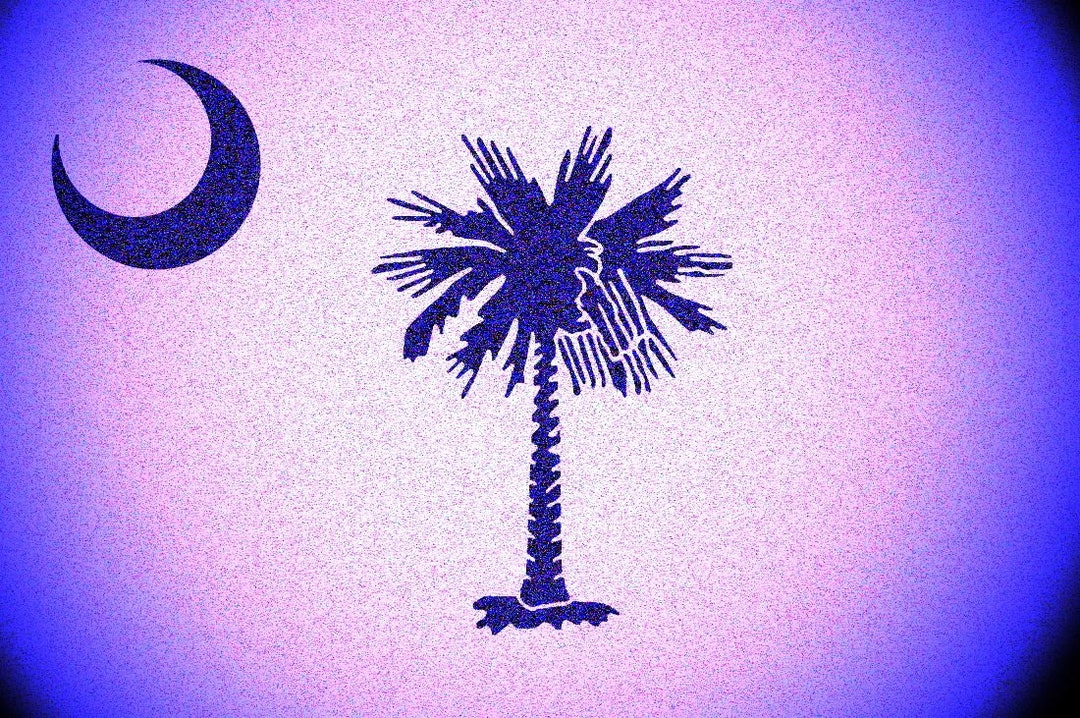 South Carolina State Flag Stencil Flags Stencils - Etsy