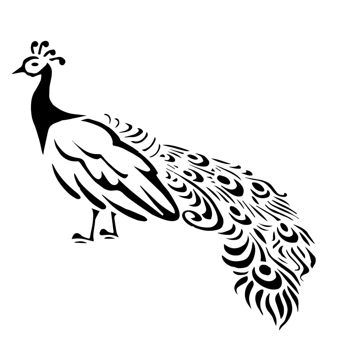 Peacock Curly Tail Stencil Stencils Birds Stencils - Etsy
