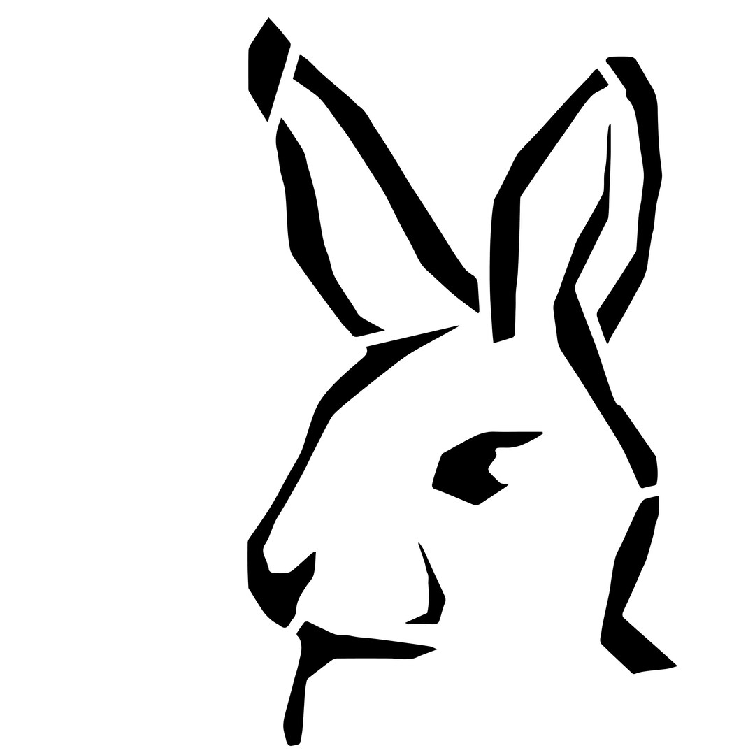 Realistic Bunny Head Stencil Rabbits Bunnies Spring Easter Stencils - Etsy