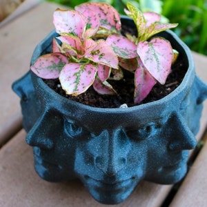 3d-printed Multi-face Planters / Succulent Planter/ Plant Pot / Psychedelic Planters/ Flower Pot ...