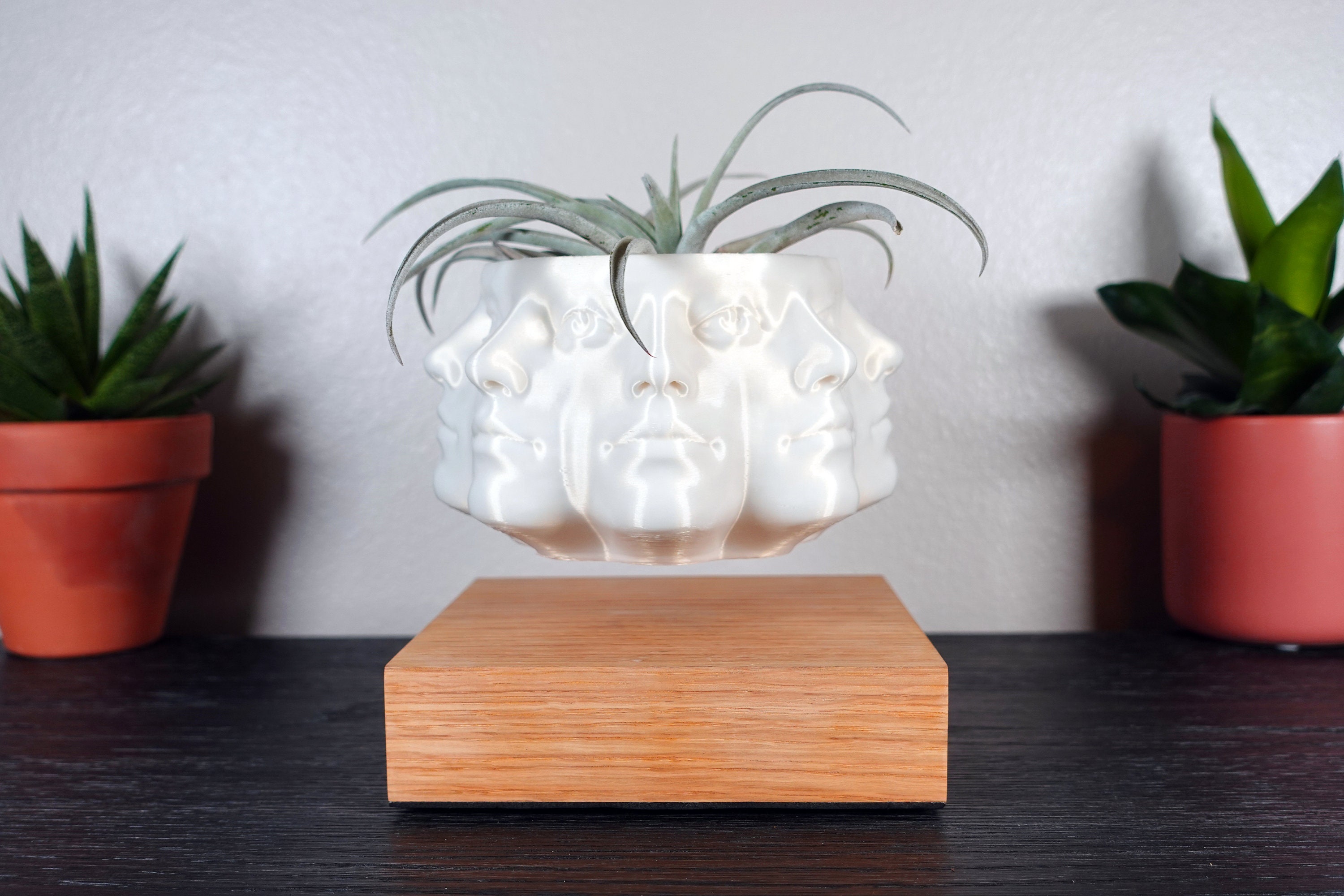 Multi-face Levitating Planter With Air Plant / Levitating - Etsy