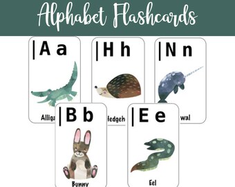 Forest Animal Flash Cards - Etsy
