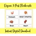 Montessori Human Anatomy-flashcards-human Organs-3 Part Cards ...