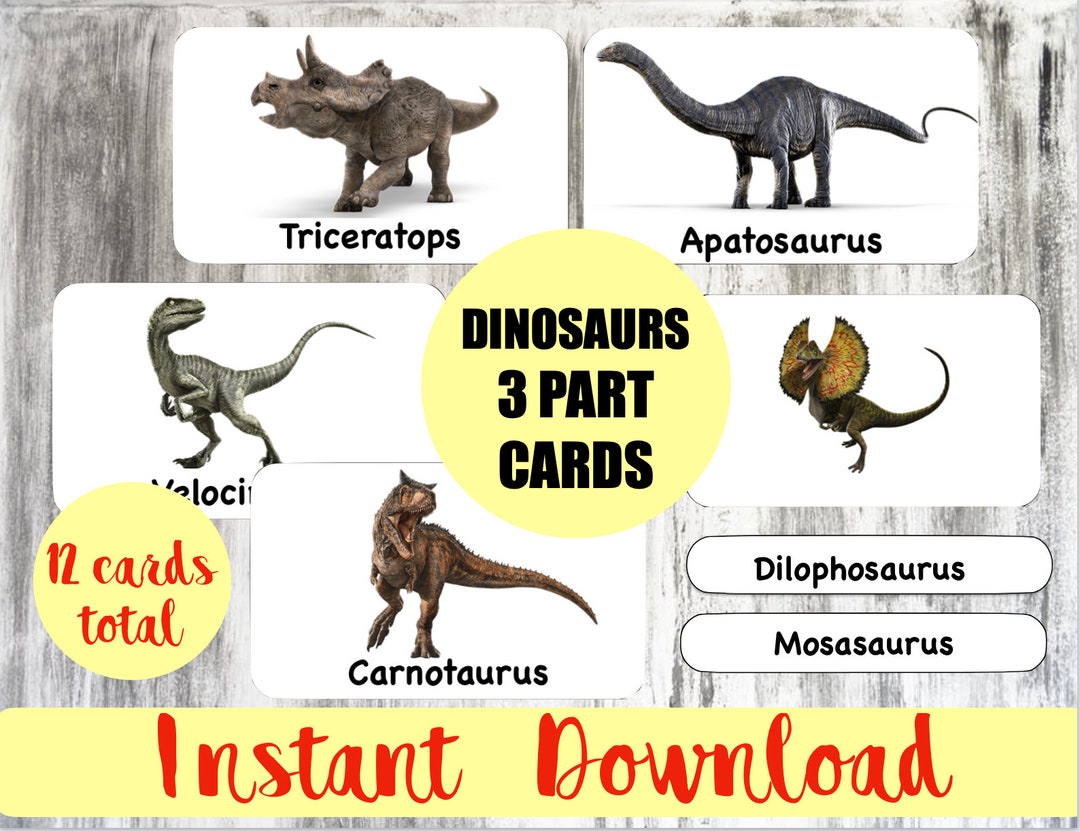 Dinosaurs Flashcards | Montessori Nomenclature - Flash - 3 Parts Cards ...