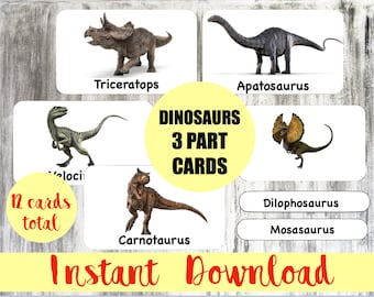 Montessori Dinosaur 3 Part Cards - Etsy Ireland