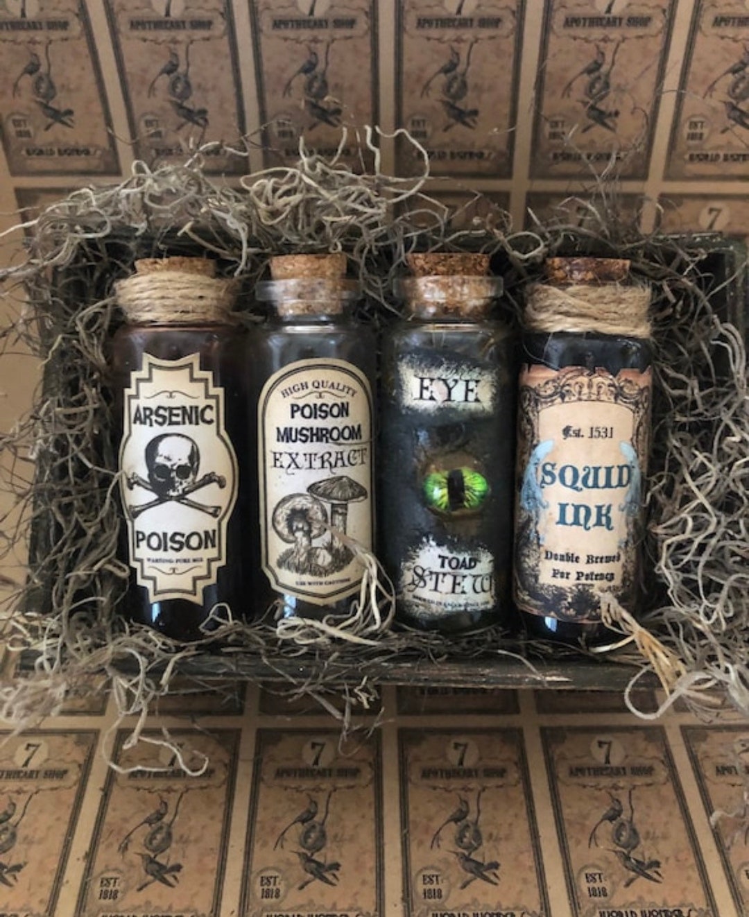 Holiday Presents Gifts-oddity and Curiosity Curiosity Cabinet Curiosity ...