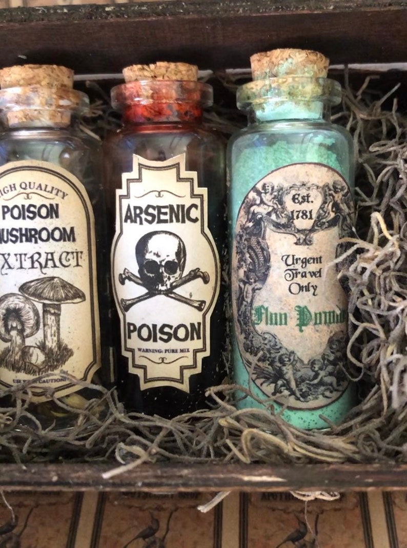 Holiday Presents Gifts-oddity and Curiosity Curiosity | Etsy