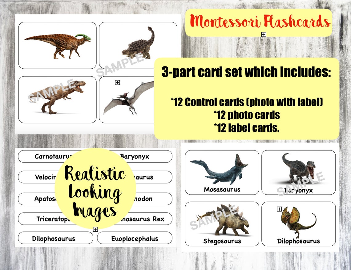 Dinosaurs Flashcards Montessori Nomenclature Flash 3 - Etsy