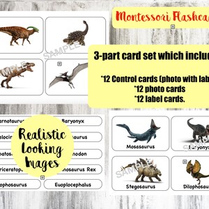 Dinosaurs Flashcards | Montessori Nomenclature - Flash - 3 Parts Cards ...