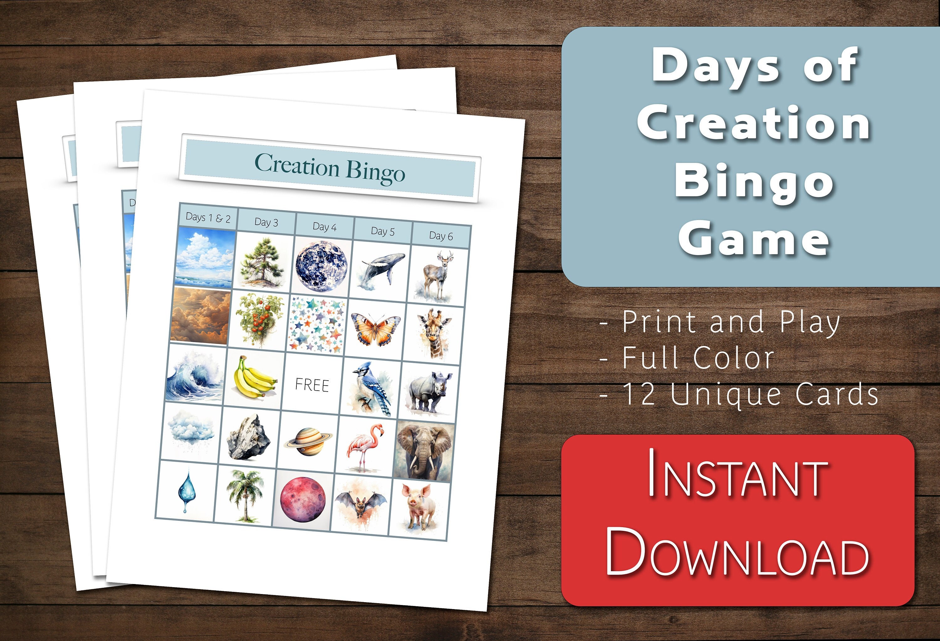 Days of Creation Bingo Game | Sunday School Bingo | Bible Class Bingo ...