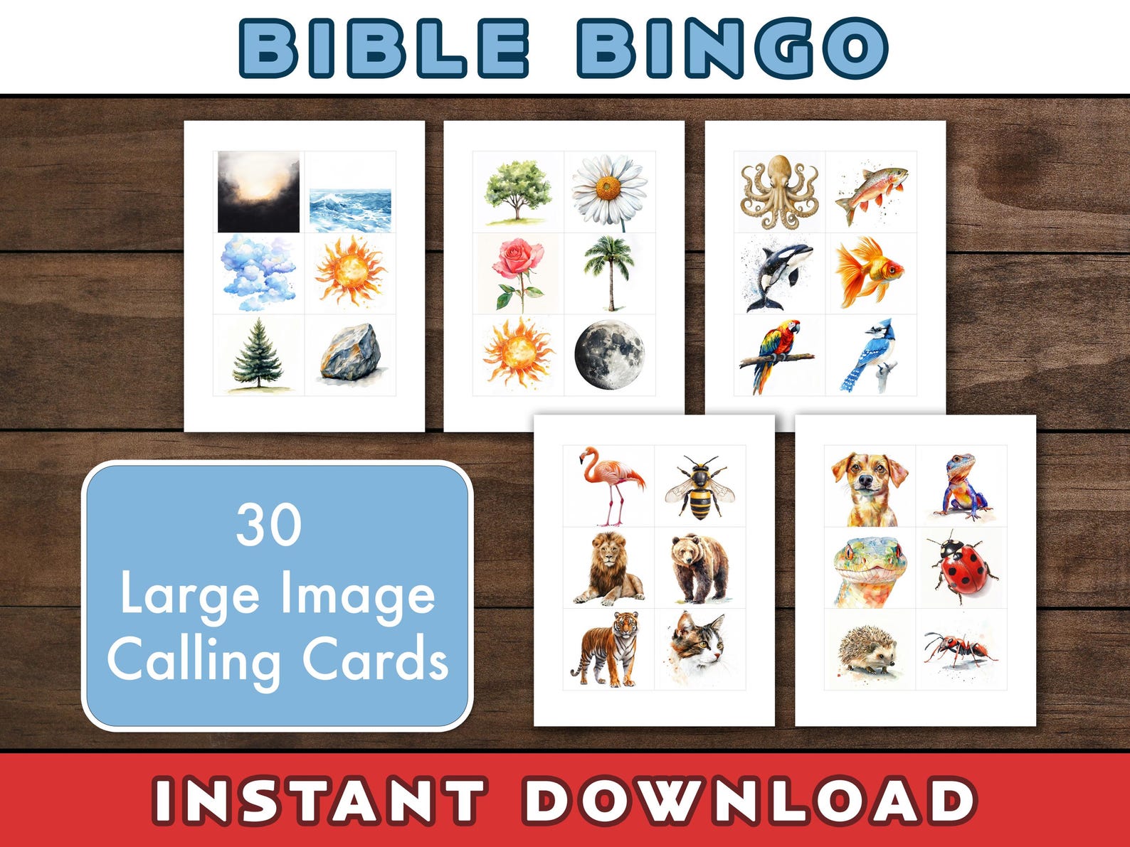 Days of Creation Bingo Game | Sunday School Bingo | Bible Class Bingo ...
