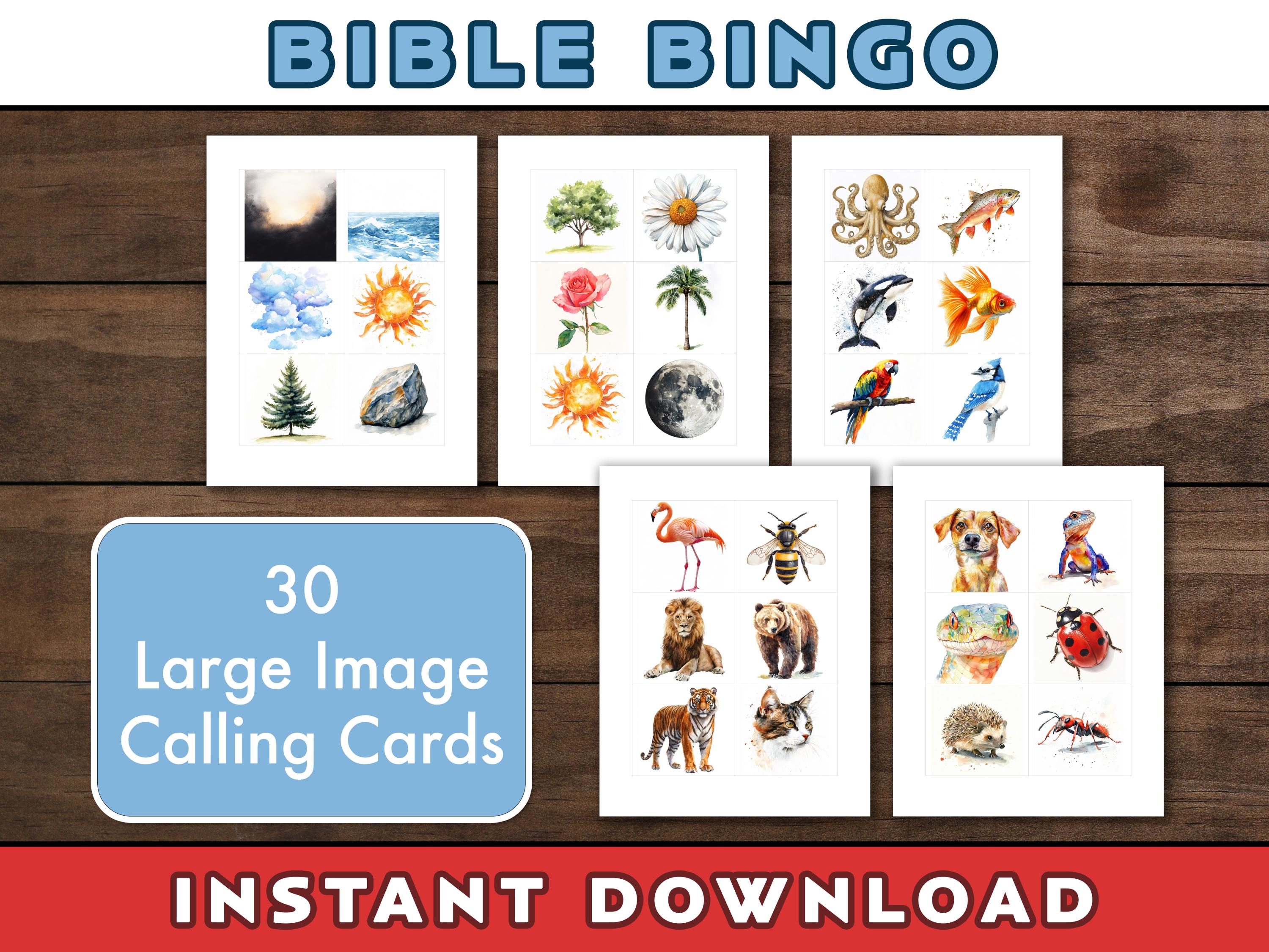 Days of Creation Bingo Game | Sunday School Bingo | Bible Class Bingo ...