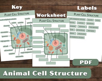 Digital Printable Animal Cell Structure Worksheet | Homeschool School ...