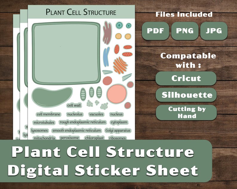 Digital Printable Plant Cell Structure Sticker Sheet | Homeschool ...